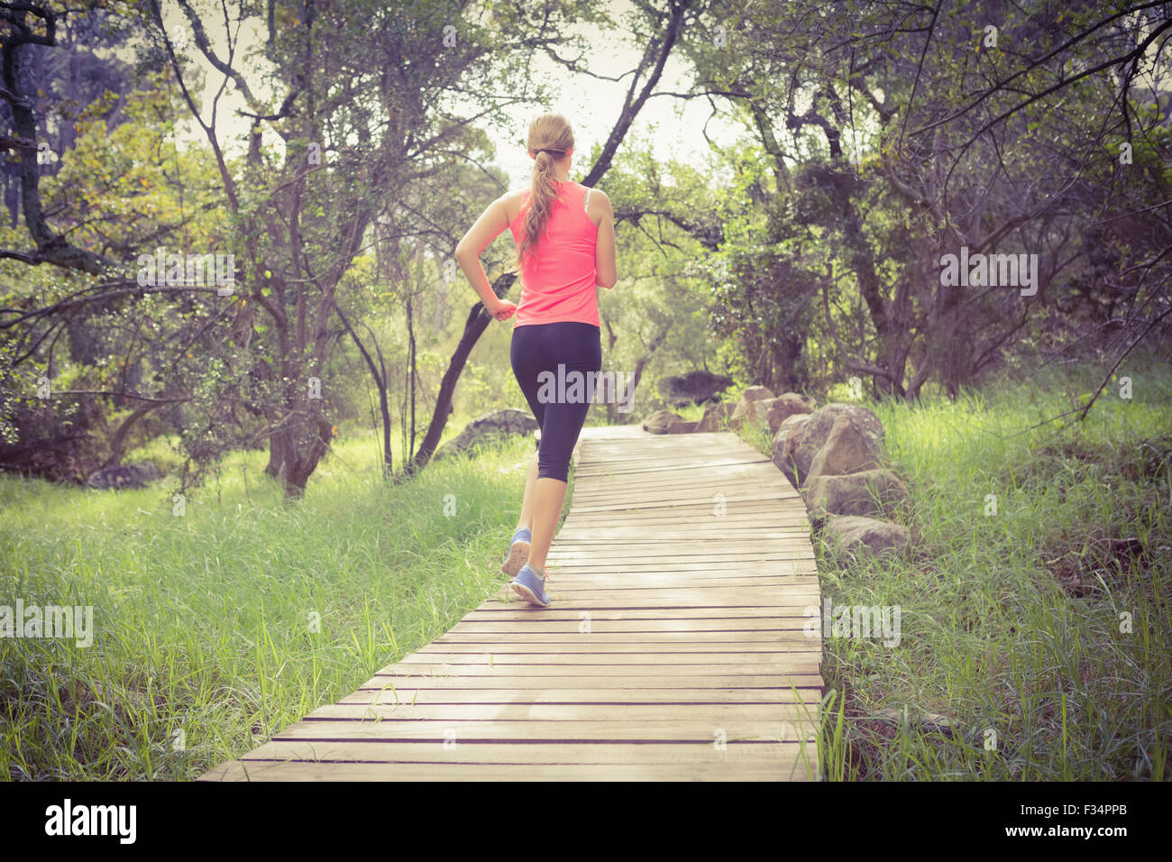 Chemin de bois Banque de photographies et d’images à haute résolution ...