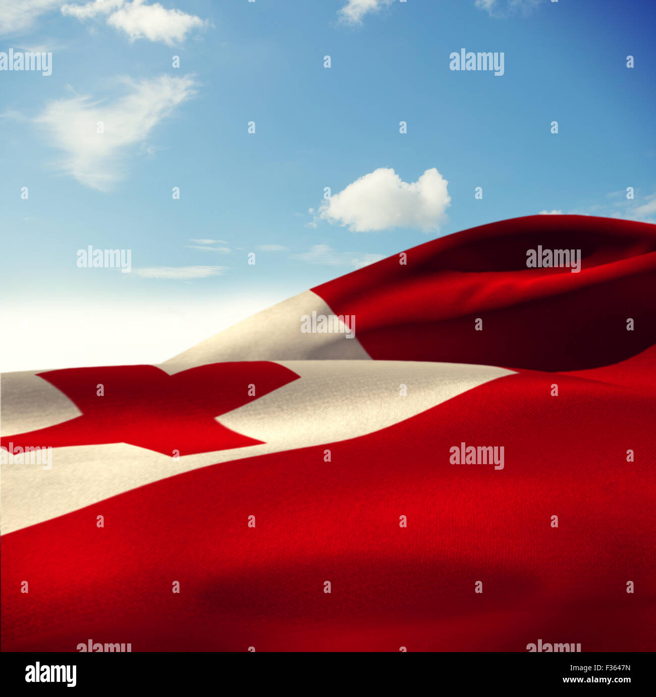 Drapeau tonga Banque de photographies et d’images à haute résolution ...