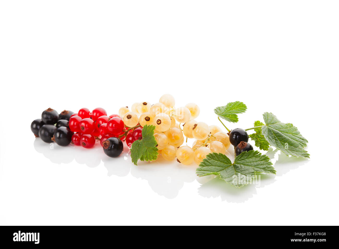 Rouge, blanc et cassis isolé sur fond blanc avec la réflexion. Fruit d ...