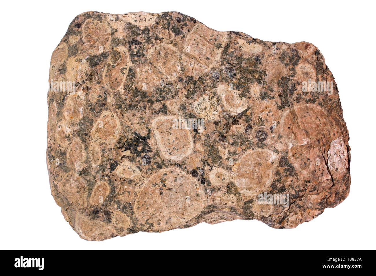 Rapakivi granite Banque de photographies et d’images à haute résolution ...