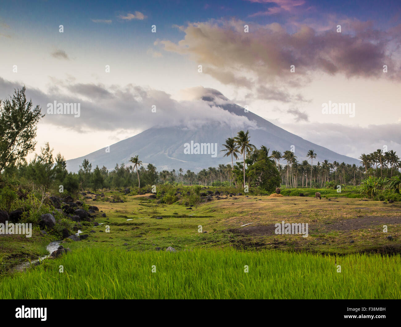 Vulcano mayon Banque de photographies et d’images à haute résolution ...
