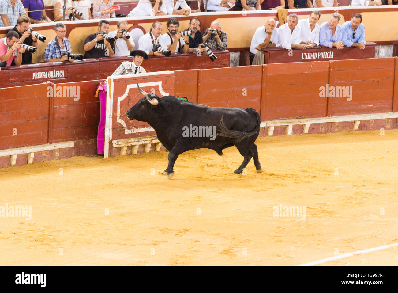 Corrida de toros Banque de photographies et d’images à haute résolution ...