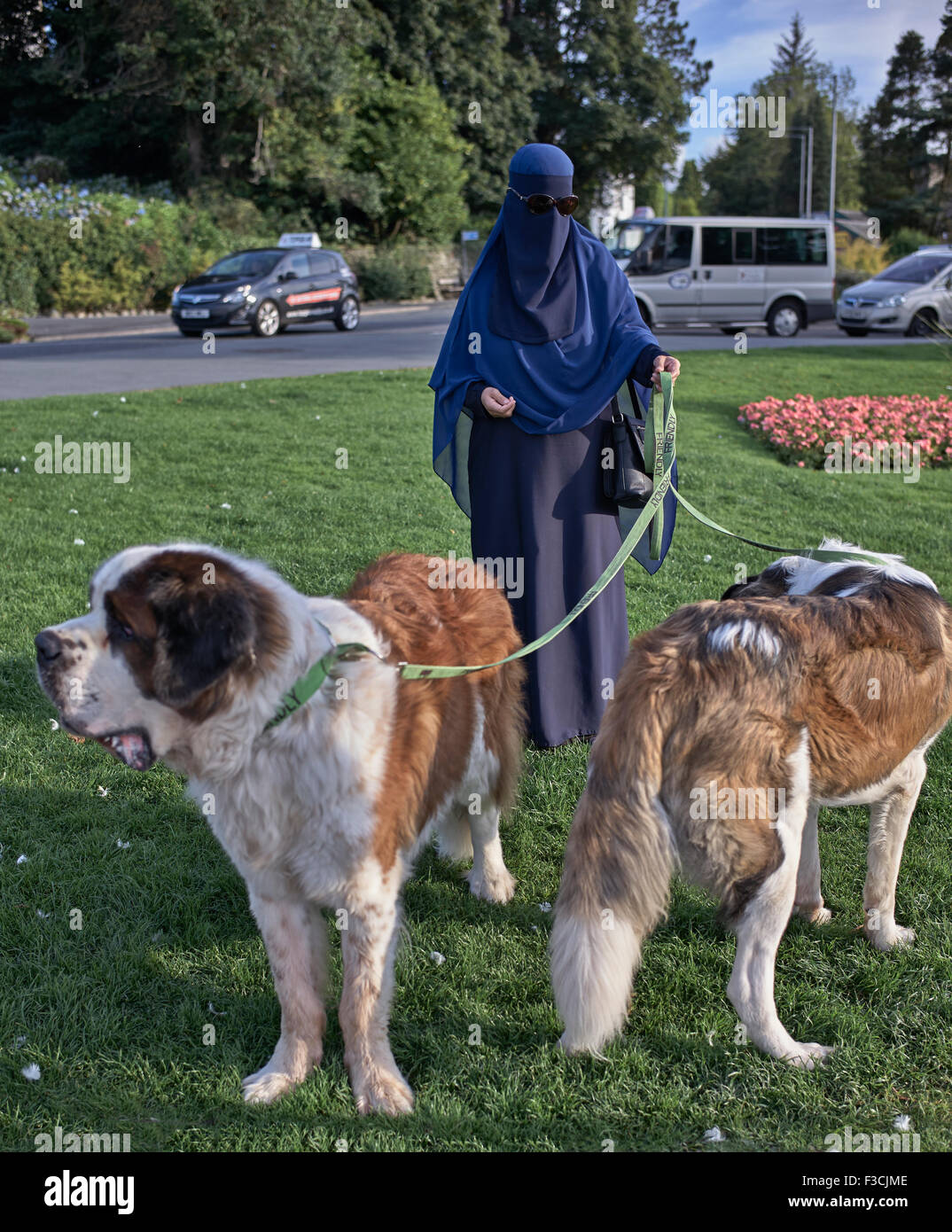 Femme burqua marchant Banque de photographies et d’images à haute ...