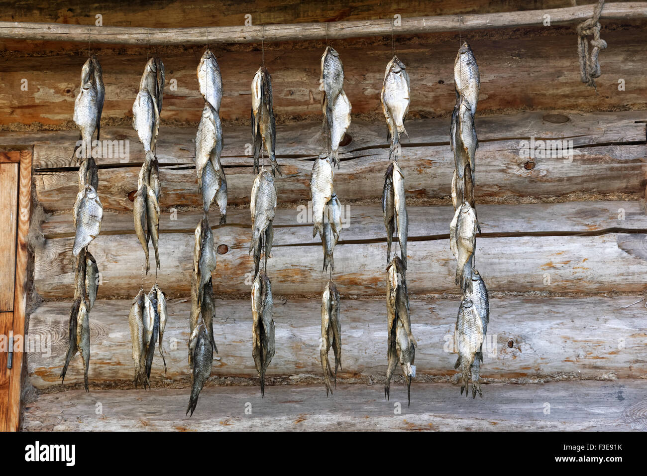 Poisson nature Banque de photographies et d’images à haute résolution ...
