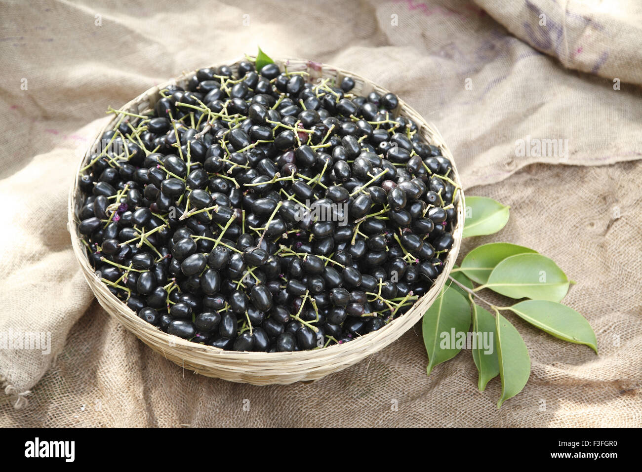 Nom Indien Banque d'image et photos - Alamy