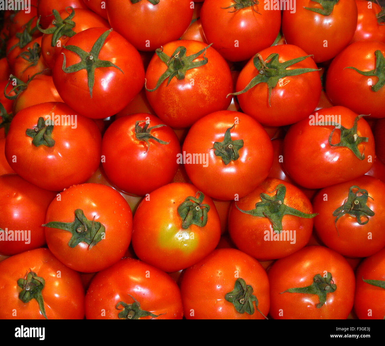 Sauce tomate verte Banque de photographies et d’images à haute ...