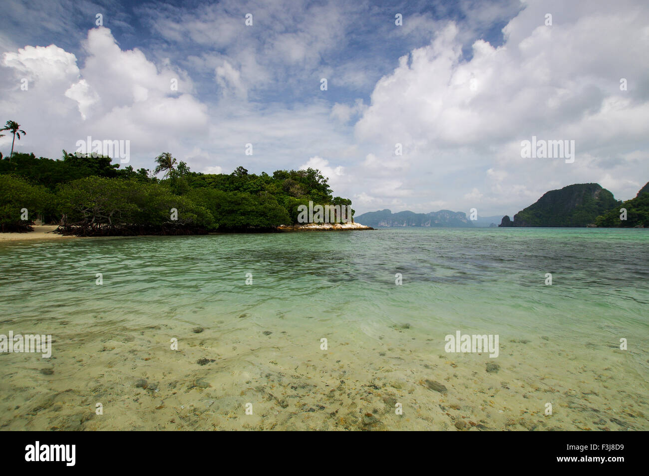 île aux serpents Banque de photographies et d’images à haute résolution ...