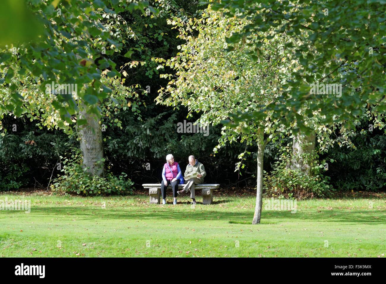 Vieil Homme Assis Sur Un Banc De Parc En Pierre Banque De Photographies
