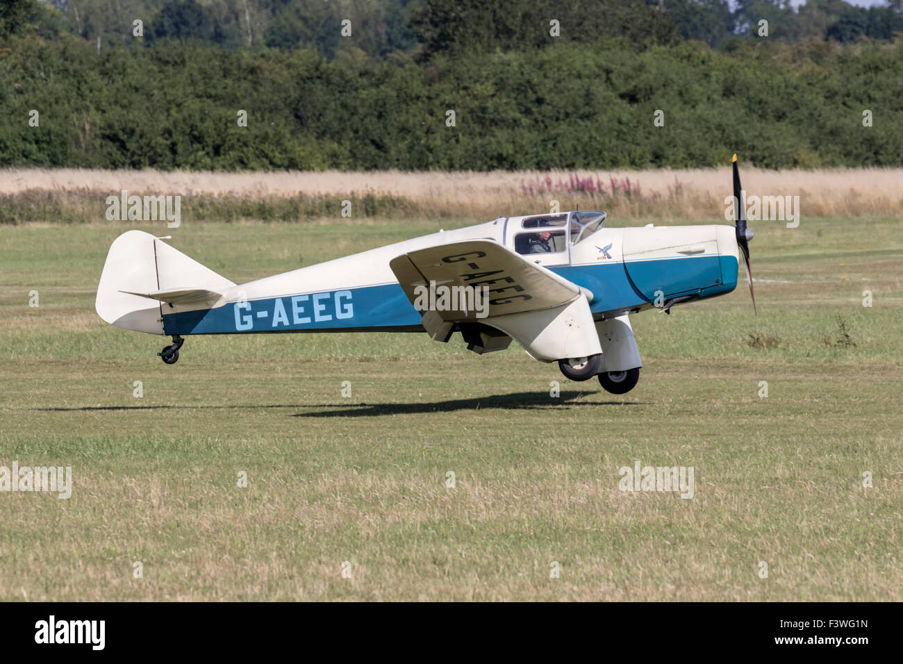 Miles falcon Banque de photographies et d’images à haute résolution - Alamy