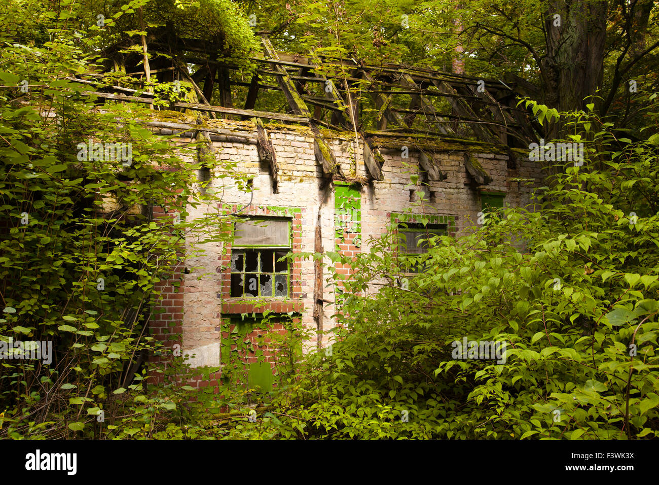 Maison ruine bois foret Banque de photographies et d’images à haute ...