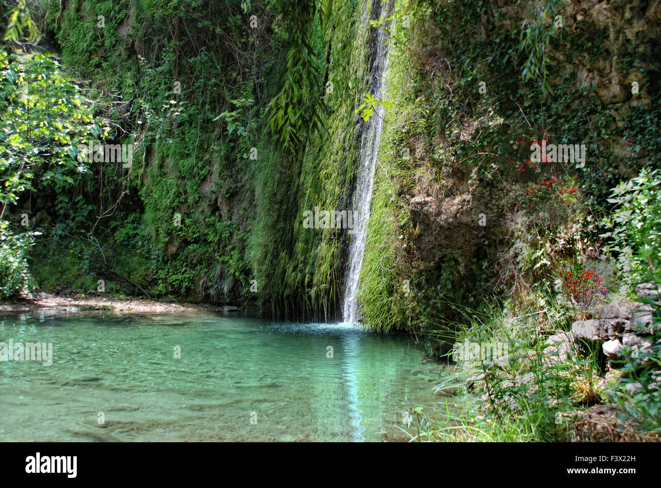 Paradis perdu Banque de photographies et d’images à haute résolution ...