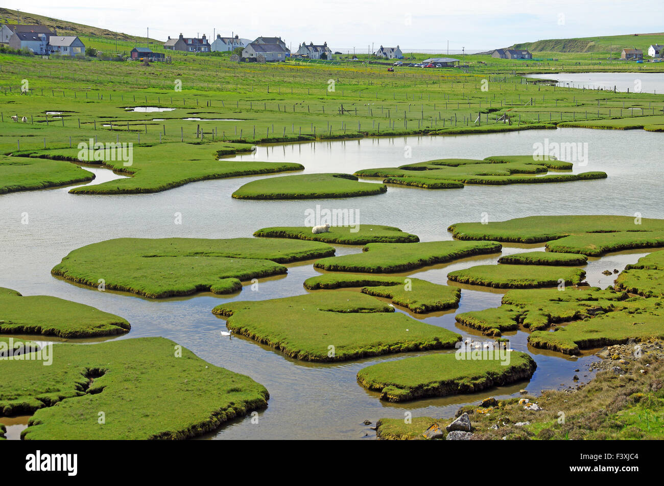 Paysages de marée verte Photo Stock - Alamy