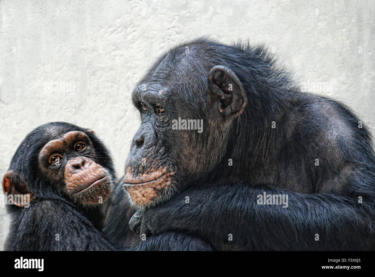 Famille mono parentale Banque de photographies et d’images à haute ...