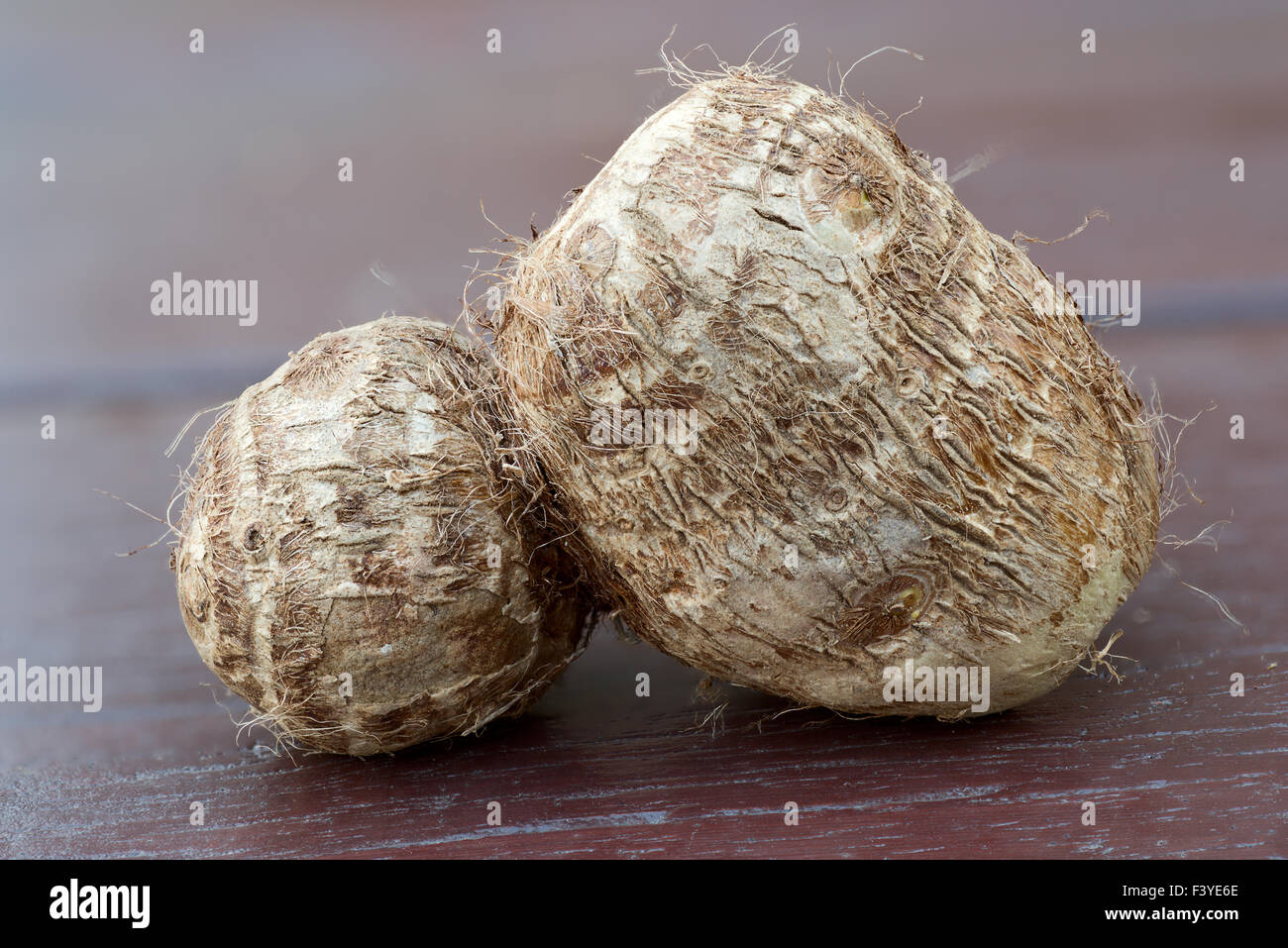 Taro colocasia esculenta Banque de photographies et d’images à haute ...
