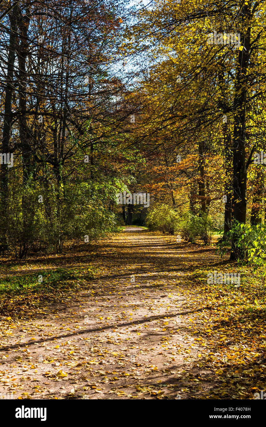 Promenade dans les bois Banque de photographies et d’images à haute ...