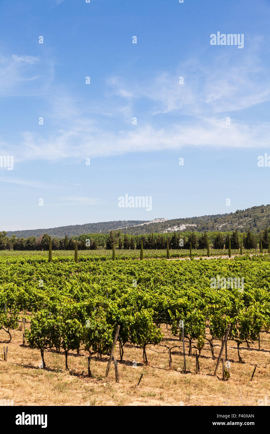 Vignoble provence Banque de photographies et d’images à haute ...