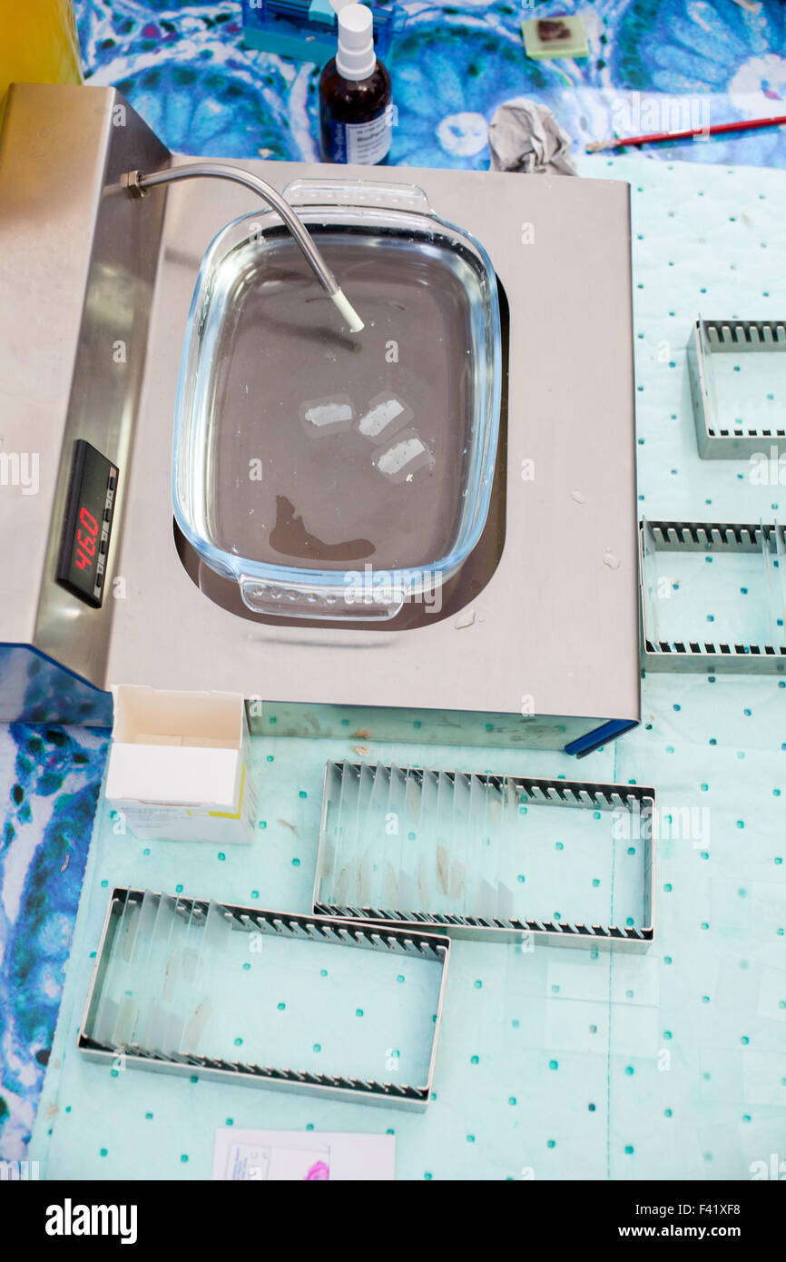 Instruments de laboratoire Banque de photographies et d’images à haute ...