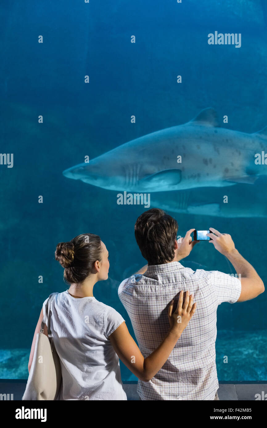 Couple regardant requin Banque de photographies et d’images à haute résolution - Alamy