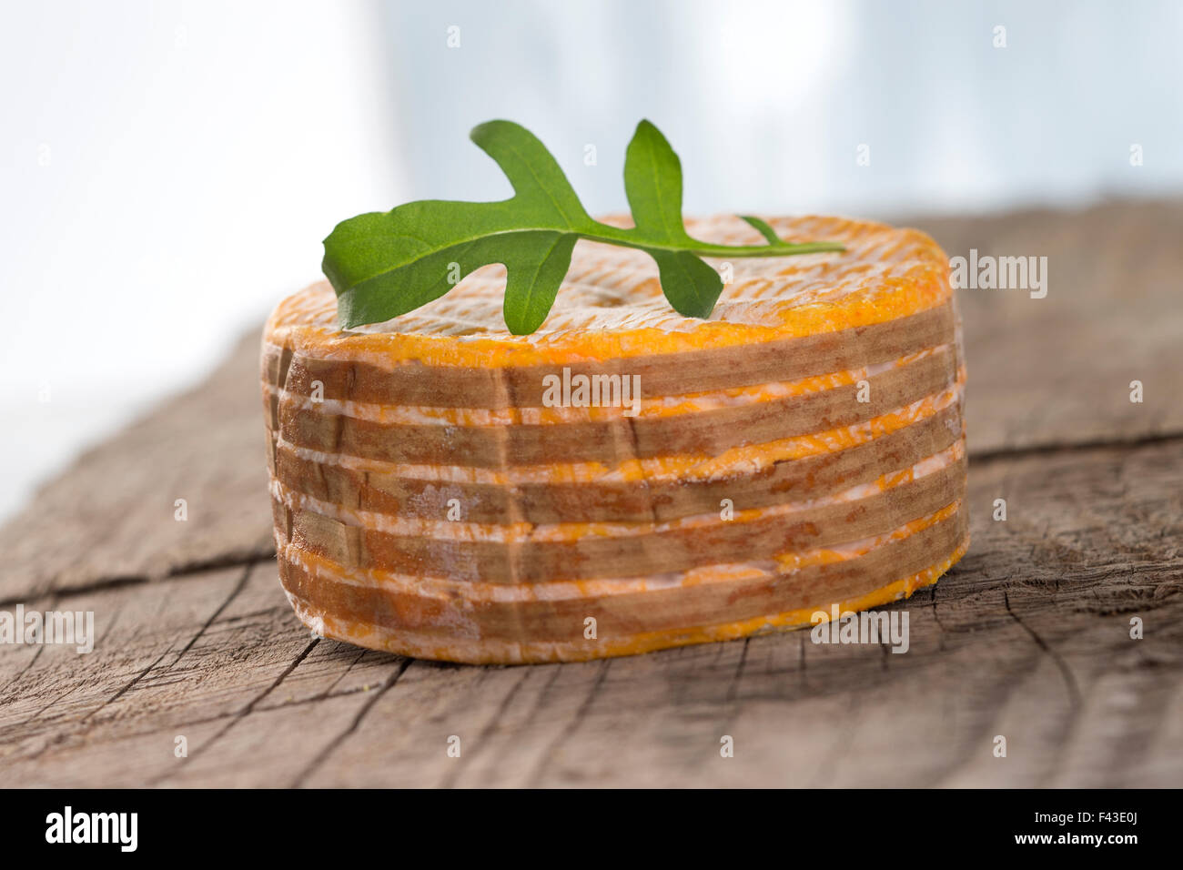 Livarot fromage Banque de photographies et d’images à haute résolution ...