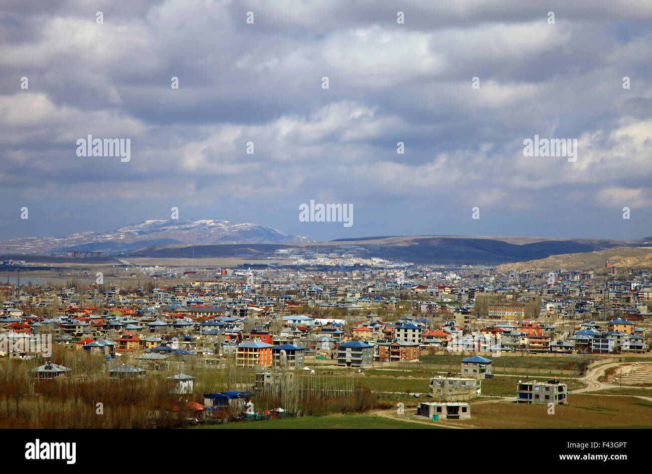 Van turkey Banque de photographies et d’images à haute résolution - Alamy