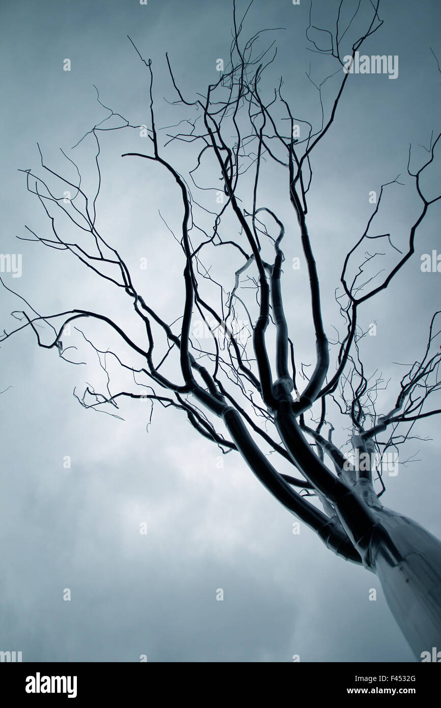 Arbre de fer Banque de photographies et d’images à haute résolution - Alamy