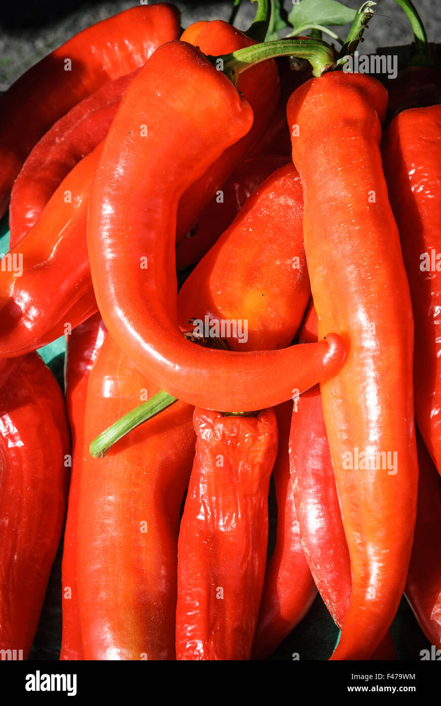 Piment fort Banque de photographies et d’images à haute résolution - Alamy