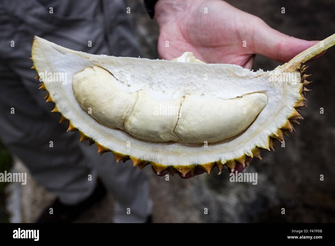 Fruit durian magasin d'alimentation asie Banque de photographies et d ...