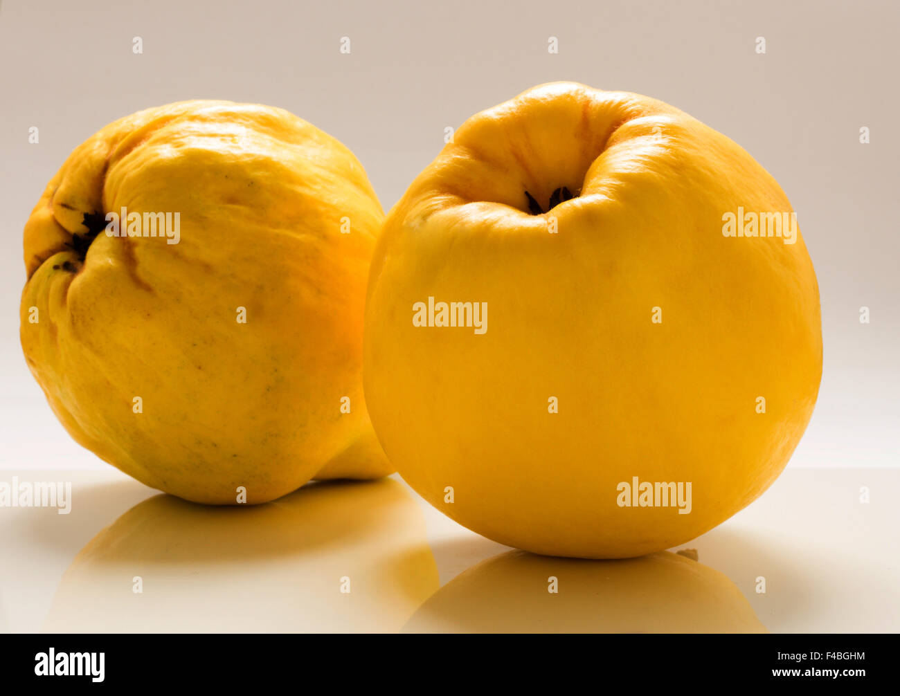 Feuille De Coing Banque d'image et photos - Alamy