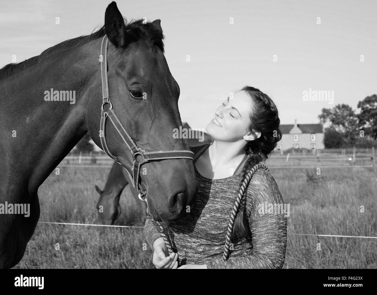 Lien de cheval humain Banque de photographies et d’images à haute ...