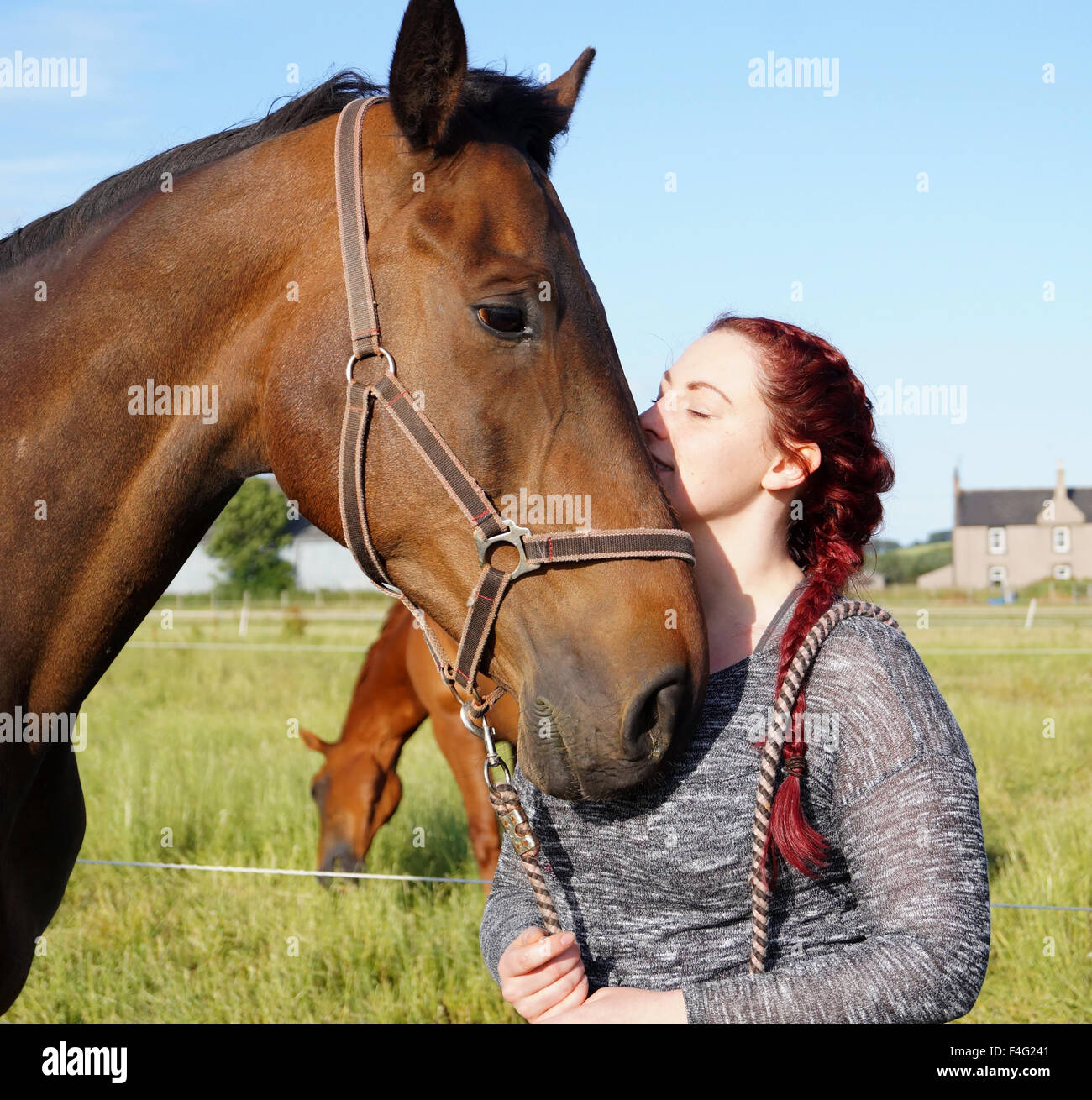 Lien De Cheval Humain Banque d'image et photos - Alamy