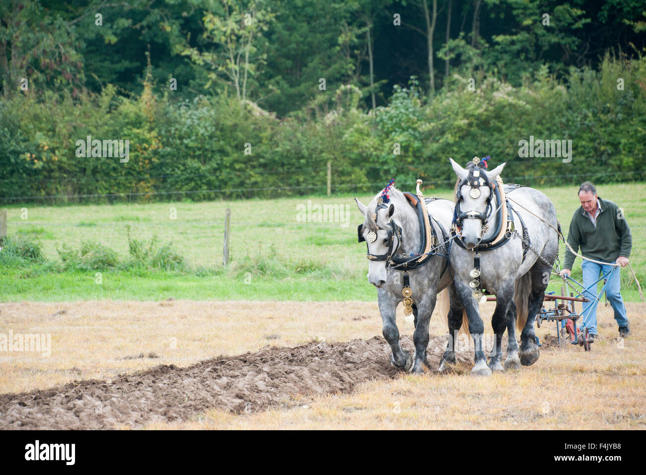 Charrues Charrues Labour Banque d'image et photos - Alamy