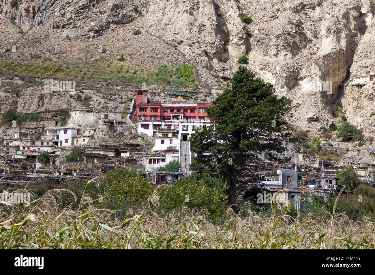 Village de Marpha Mustang (Népal Photo Stock - Alamy