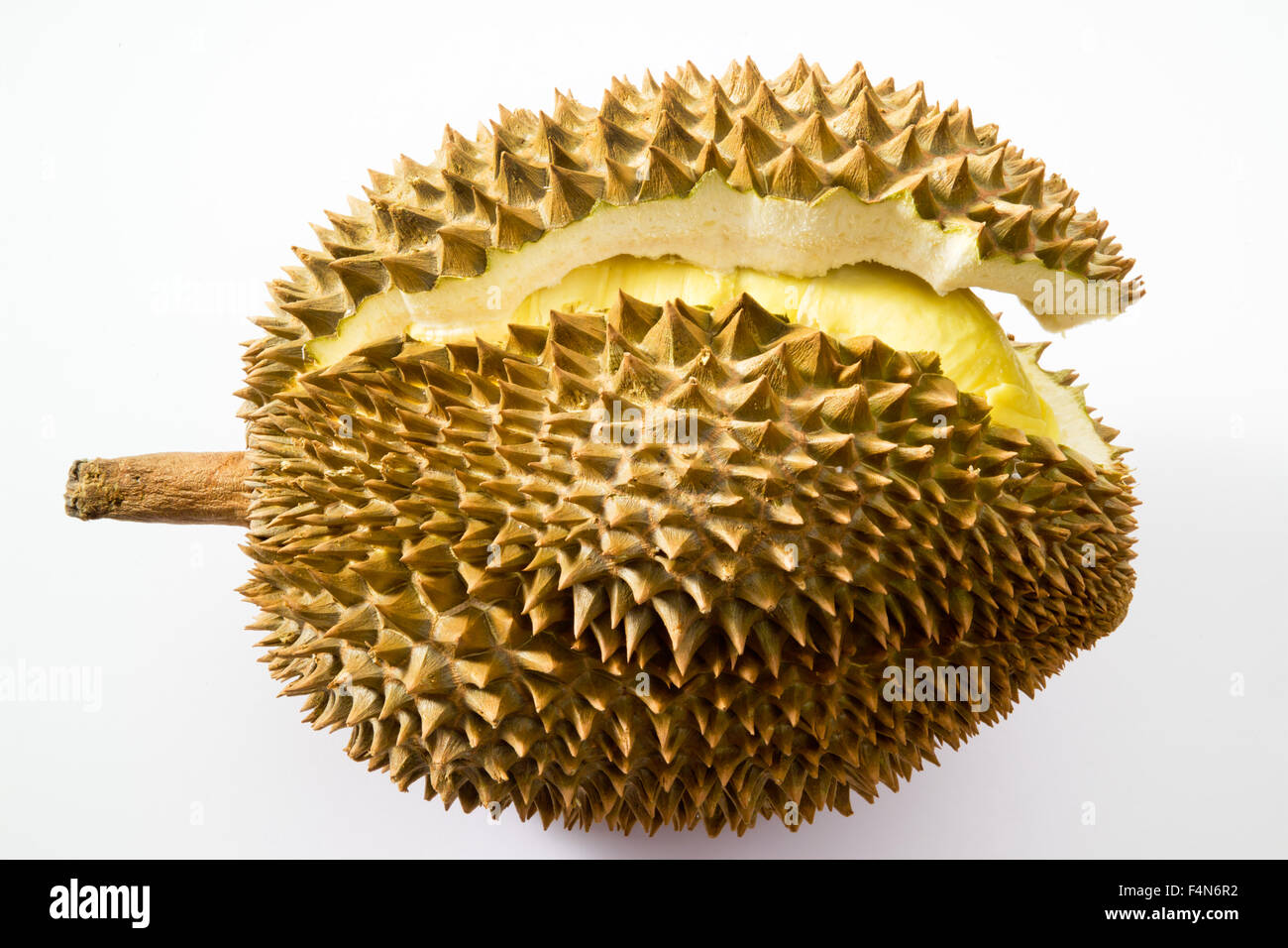 Fruits exotiques durian Banque de photographies et d’images à haute ...