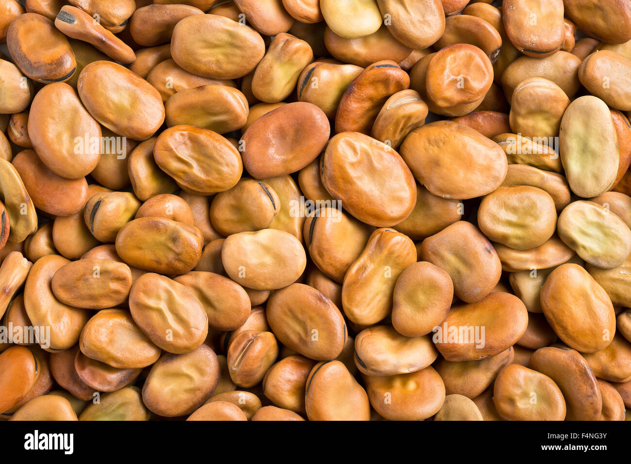 Schéma des fèves séchées Photo Stock - Alamy