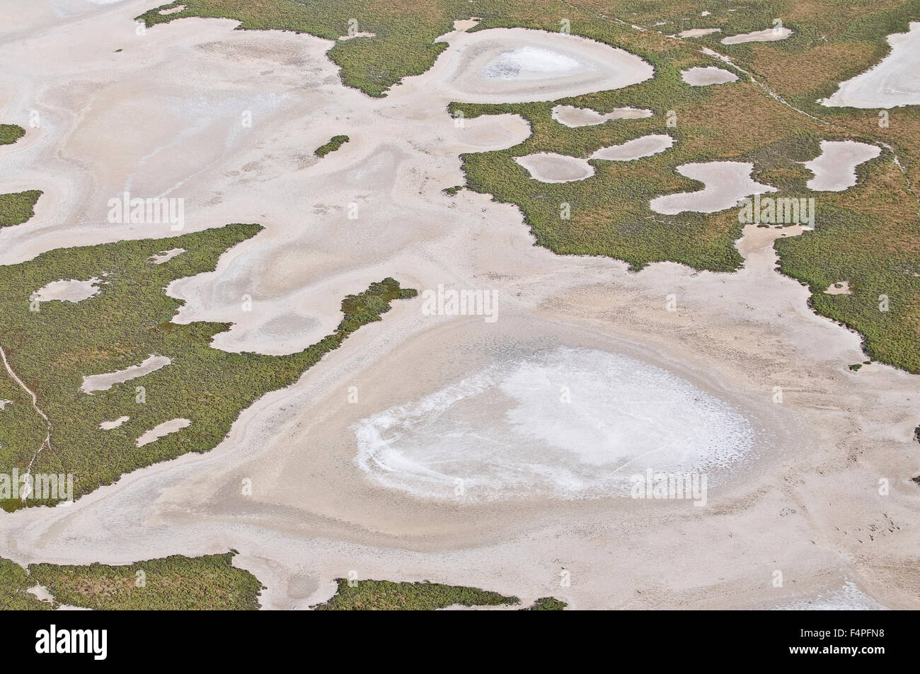 Camargue delta Banque de photographies et d’images à haute résolution ...