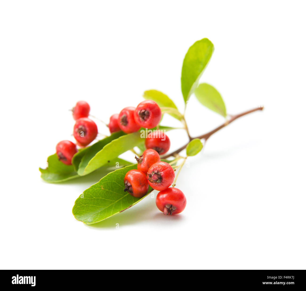 à forte densité Banque d'images détourées - Alamy