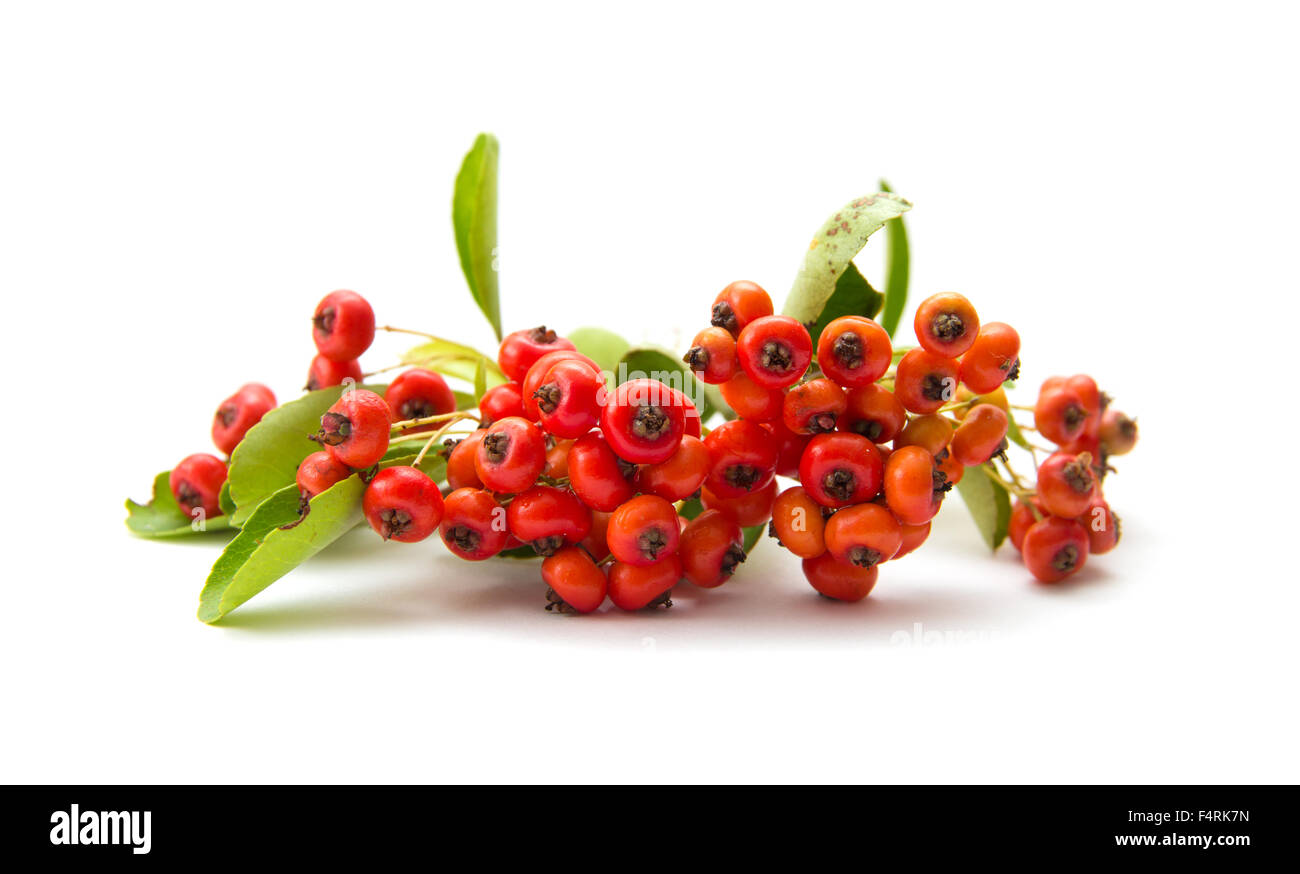 à forte densité Banque d'images détourées - Alamy