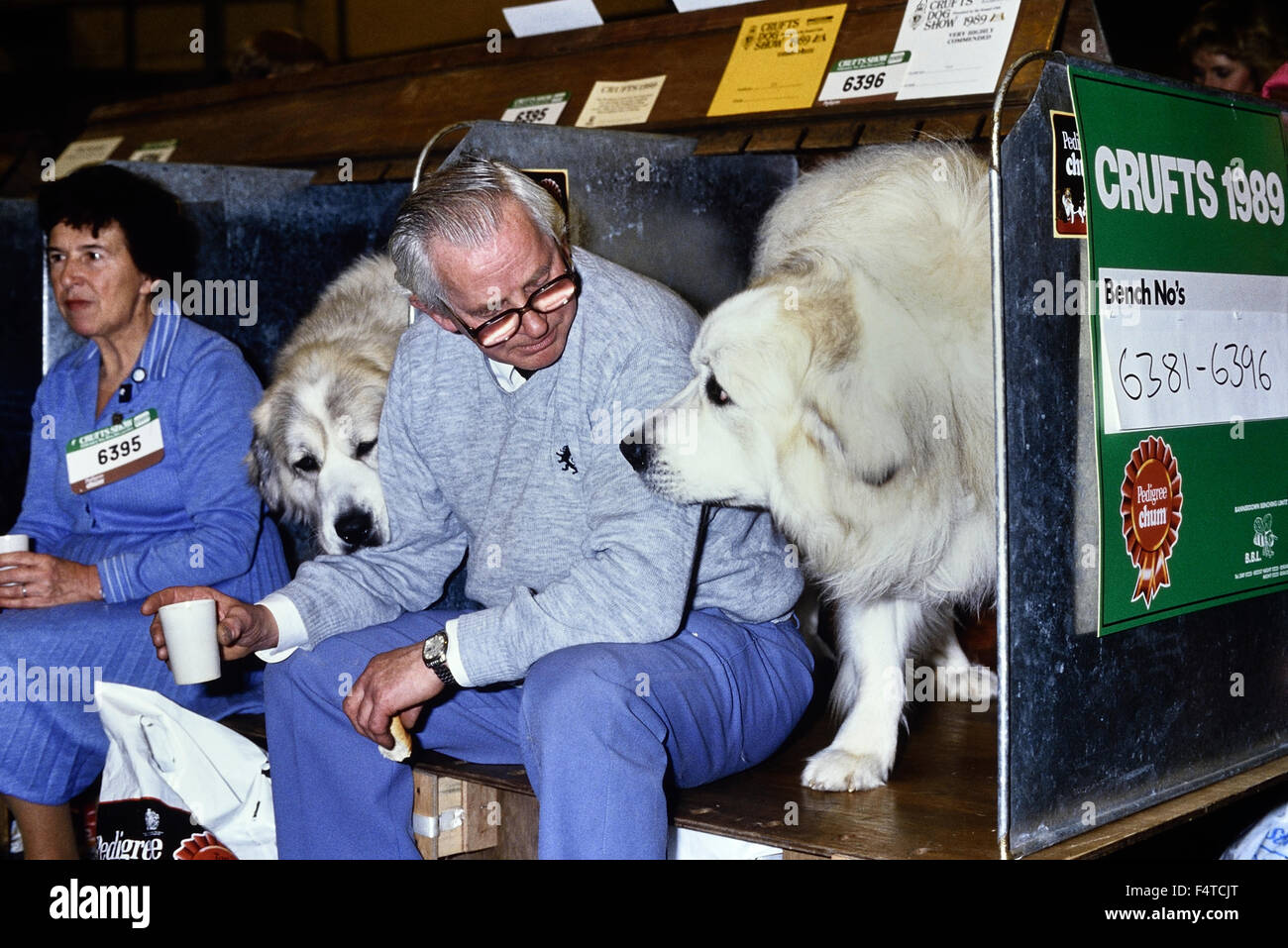 Crufts dog show earls court Banque de photographies et d’images à haute ...
