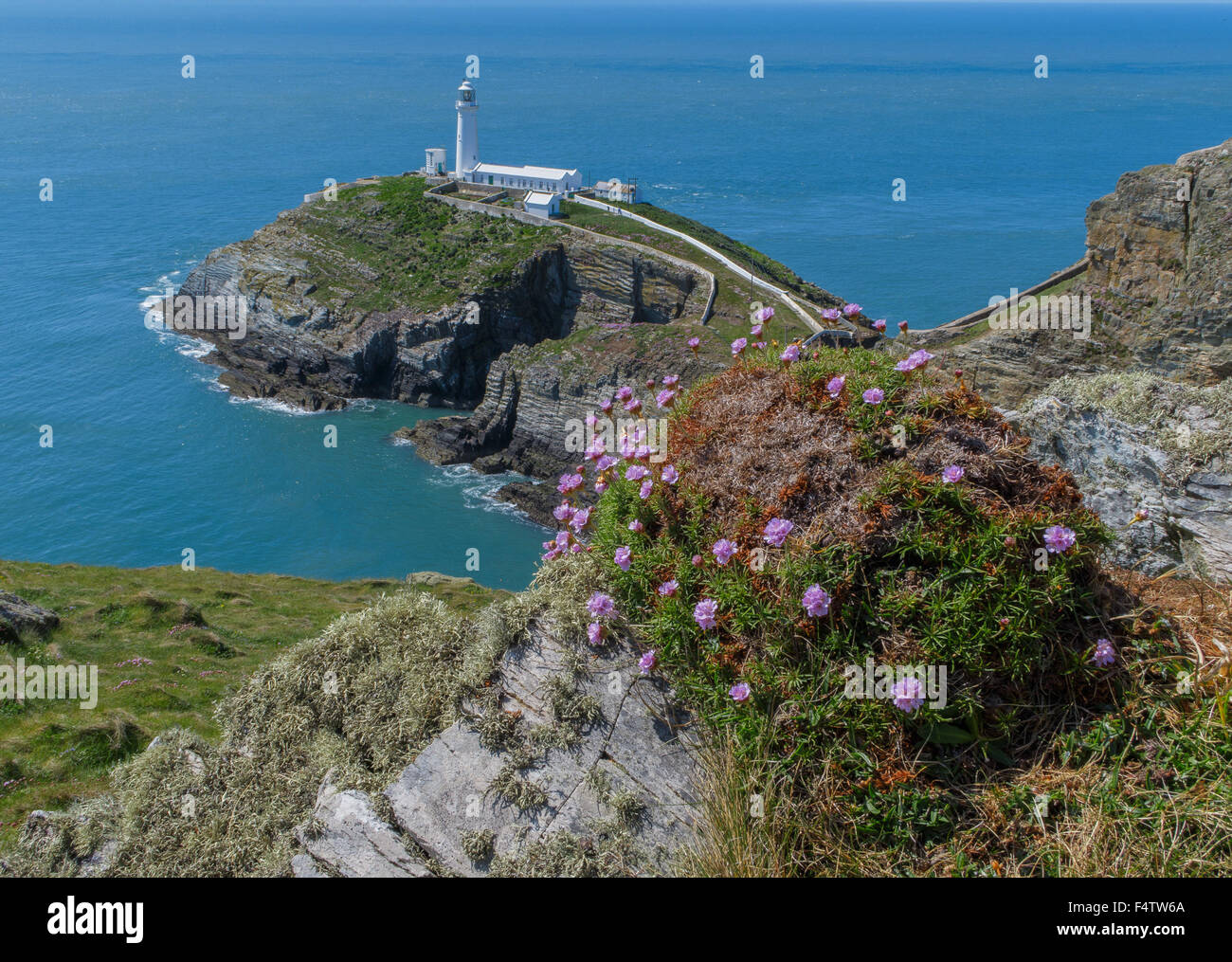South stack anglesey Banque de photographies et d’images à haute résolution - Alamy