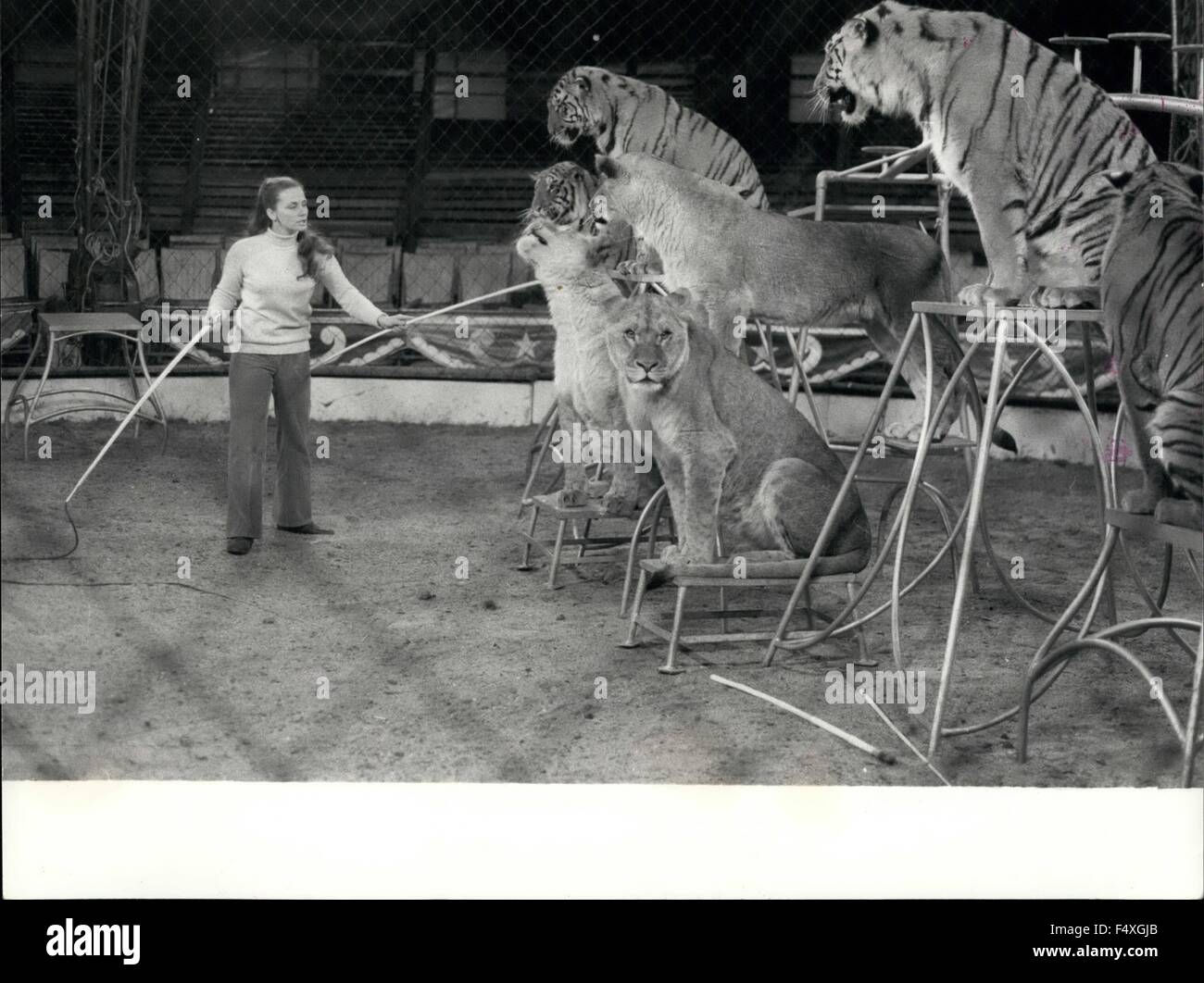 Chipperfield circus Banque de photographies et d’images à haute ...