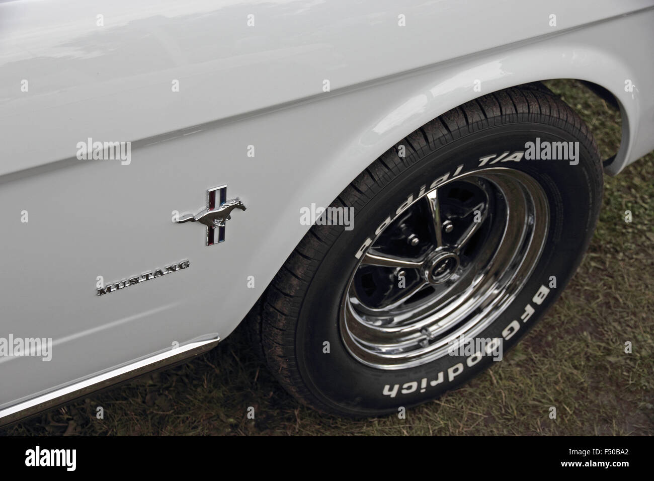 Mustang logo 1965 Banque de photographies et d’images à haute ...