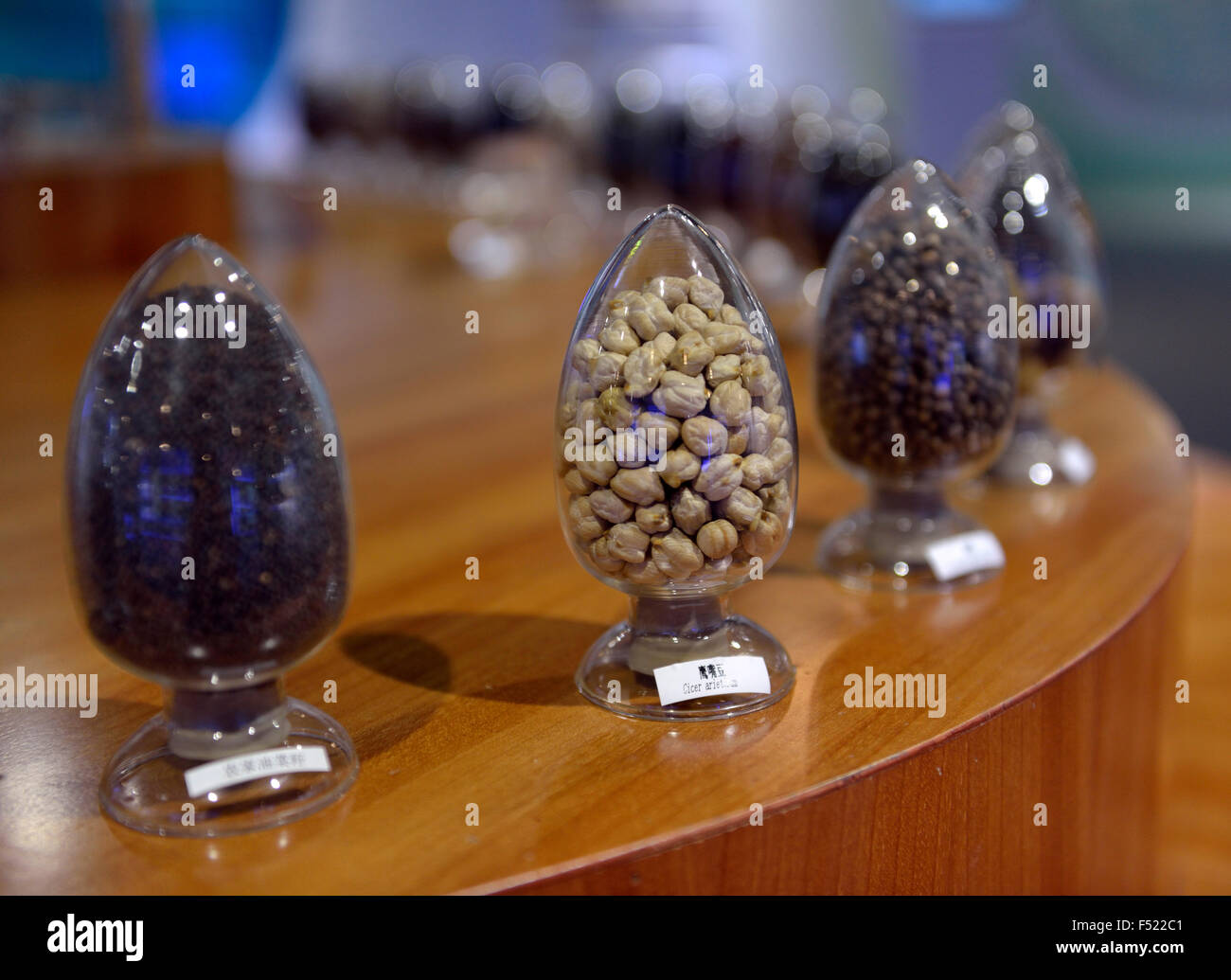 Shenzhen museum Banque de photographies et d’images à haute résolution ...