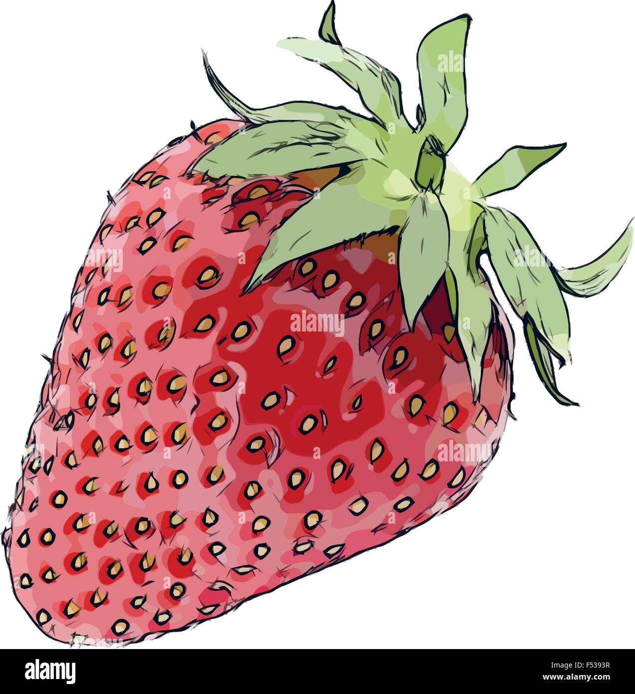 Fraise rouge Cartoon Vector Illustration Image Vectorielle Stock - Alamy