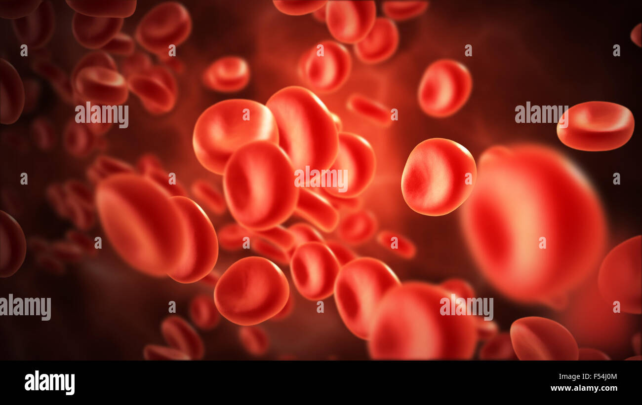 Les cellules du sang en continu en veine avec profondeur de champ Photo ...