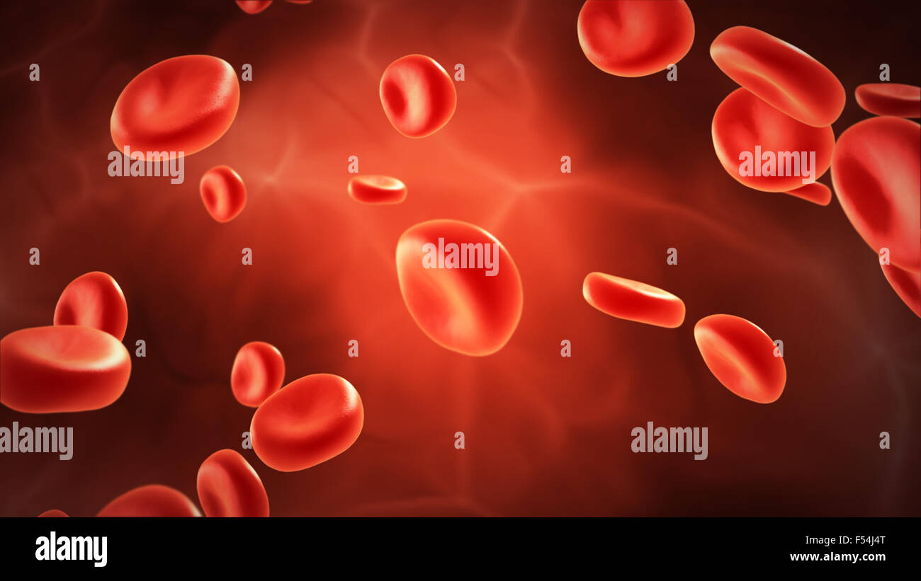 Microscope et cellules sanguines Banque de photographies et d’images à ...