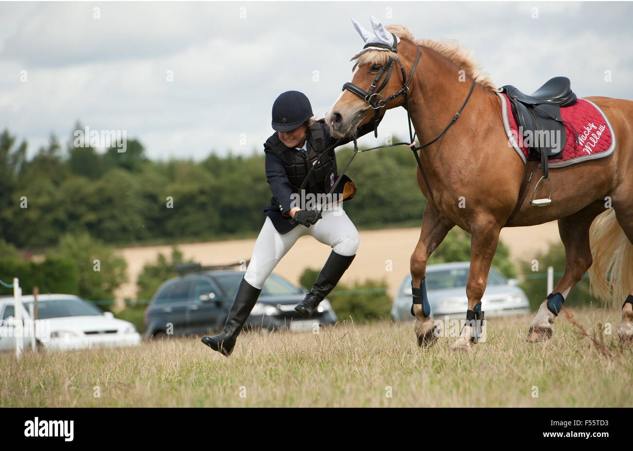 Saut d'obstacle cheval chute Banque de photographies et d’images à ...