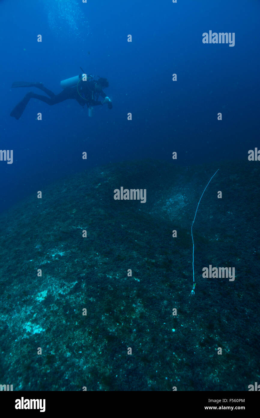 Plongeur scientifique à l'aide de visuels fixes pour mesurer l ...