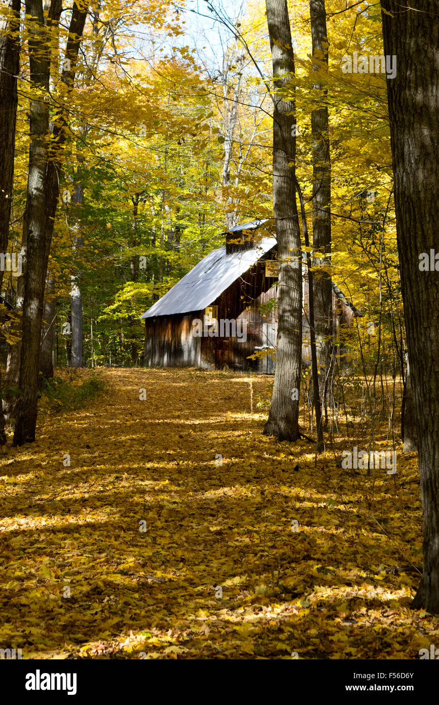Feuillage d'automne et cabane à sucre Banque de photographies et d ...