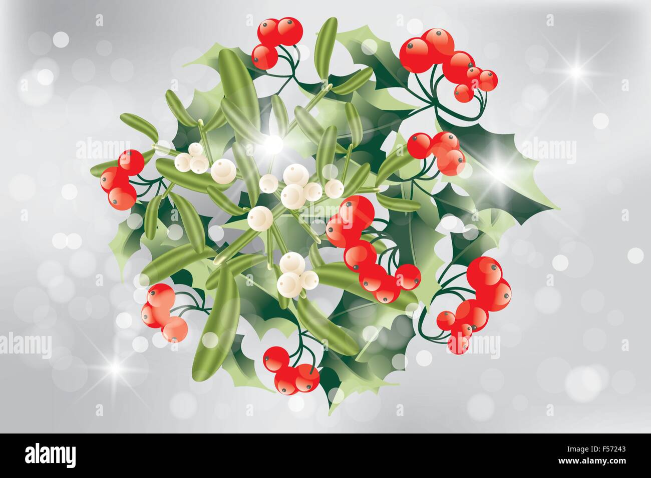 Bouquet de gui Banque d'images vectorielles - Alamy