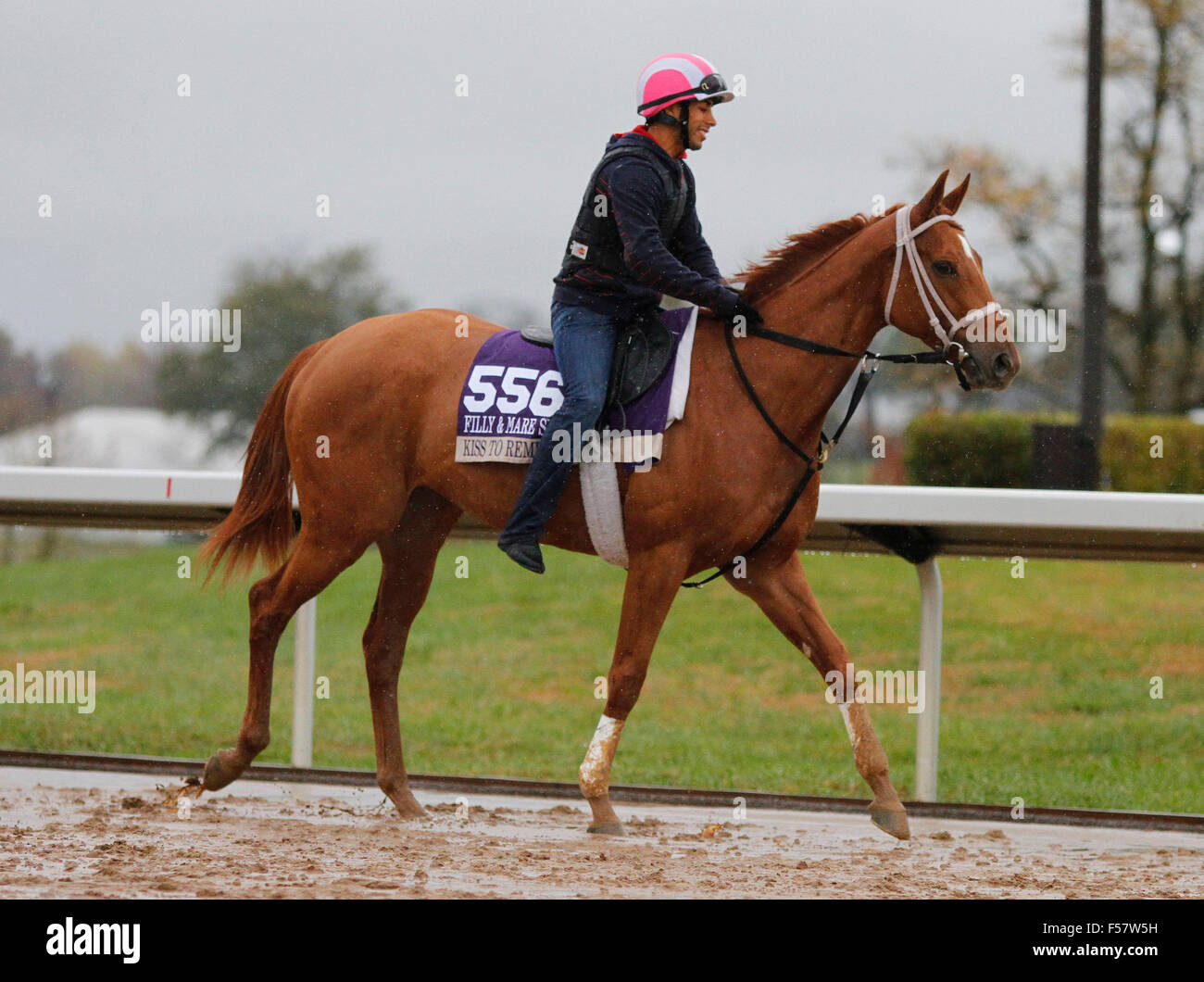 Martin wolfson Banque de photographies et d’images à haute résolution ...